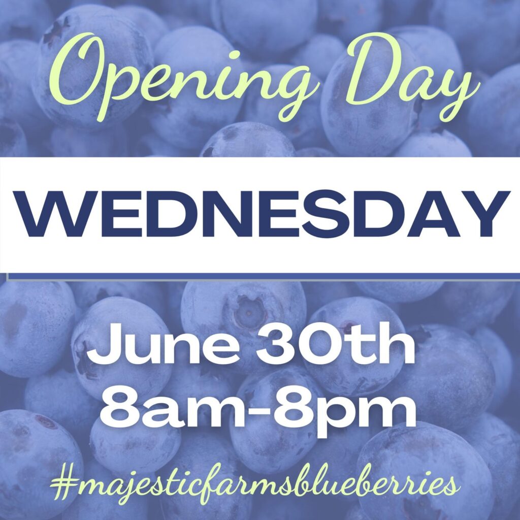 UPDATE: Opening WEDNESDAY. – Majestic Farms Blueberries